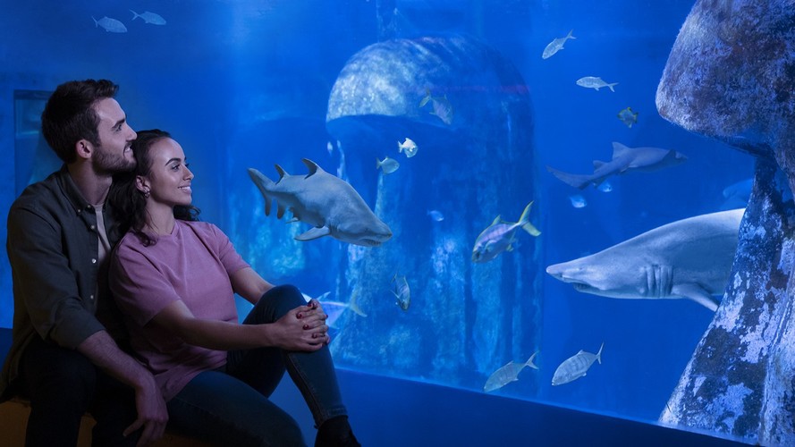 SEA LIFE Centre London - London Aquarium Tickets