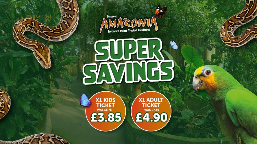 Amazonia M&D's Tickets - Get up to 40% Off Tickets