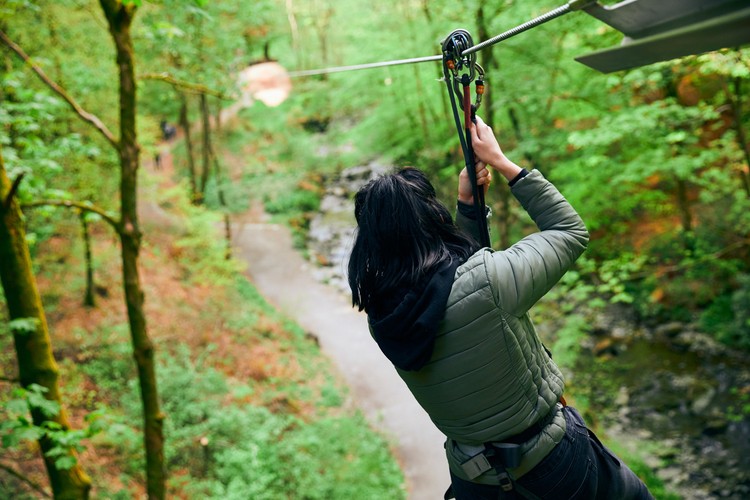 Go Ape Alice Holt Forest Tickets - Surrey Activities