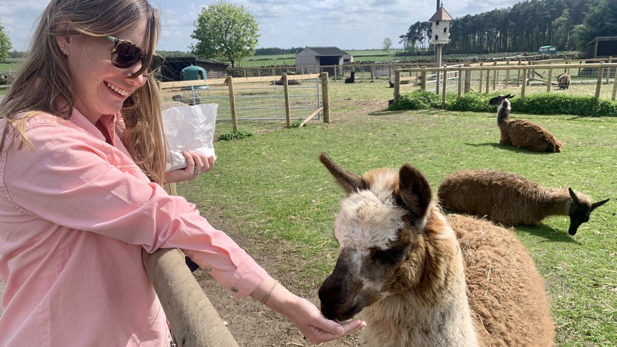 Matlock Farm Park Tickets - Family Farm Park Derbyshire