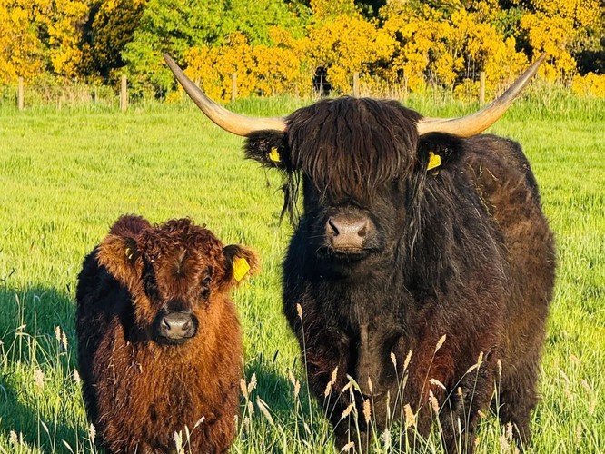 Farm Stop Scotland - Free £5 Voucher With Purchase