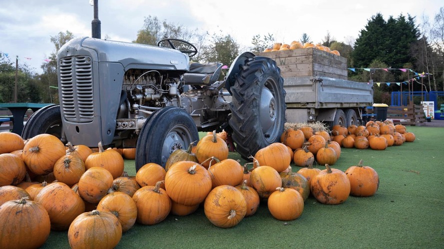 Dalscone Farm Fun Tickets - Pumpkin Patches Dumfries