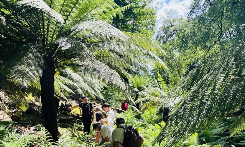 Canonteign Falls Adventure Tickets - Days Out In Devon