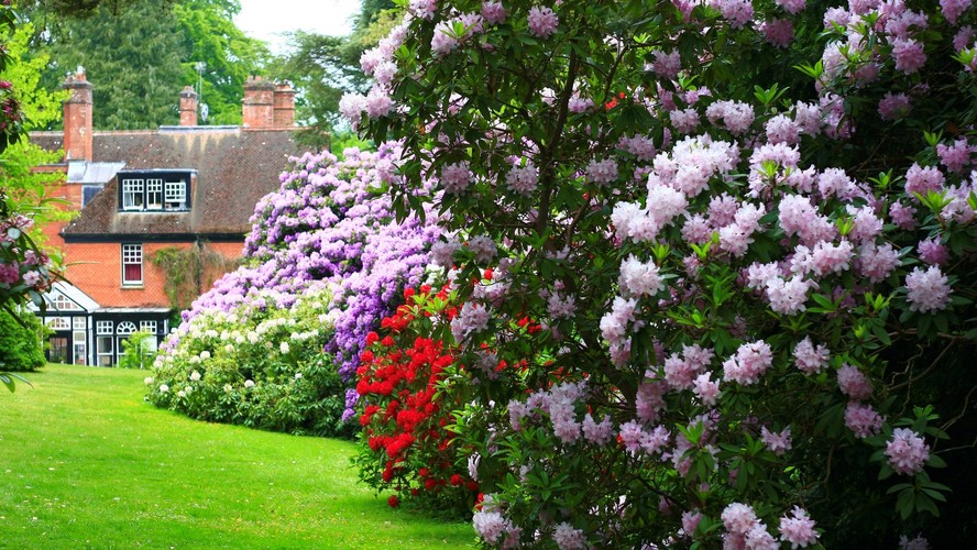Hergest Croft Gardens - Under 16's Go FREE!