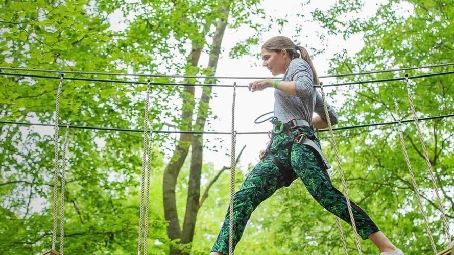 Treetop Challenge Go Ape - Go Ape Chessington