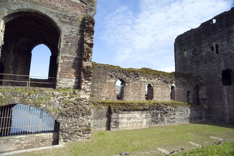 Newport Castle