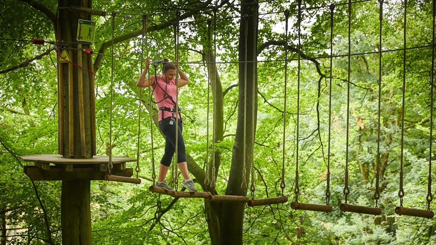 Treetop Challenge Tickets - Moors Valley Go Ape