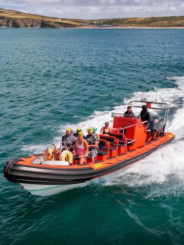 Voyages of Discovery Tickets - Ramsey Island Boat Trips
