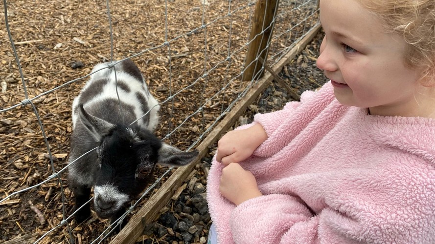 Cherry Tree Farm 65% Off Tickets - Free £5 Voucher