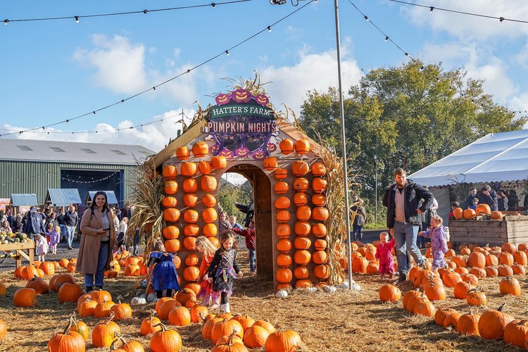 Hatter's Farm Pumpkin Patch - Get A Free £5 Voucher