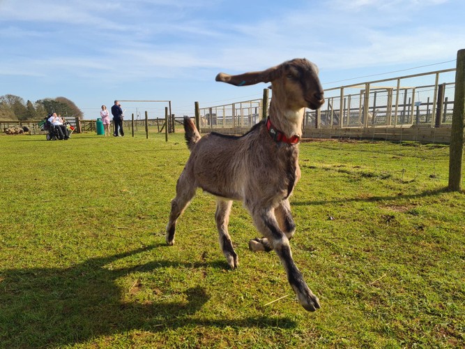 Fairytale Farm - Best Price Tickets