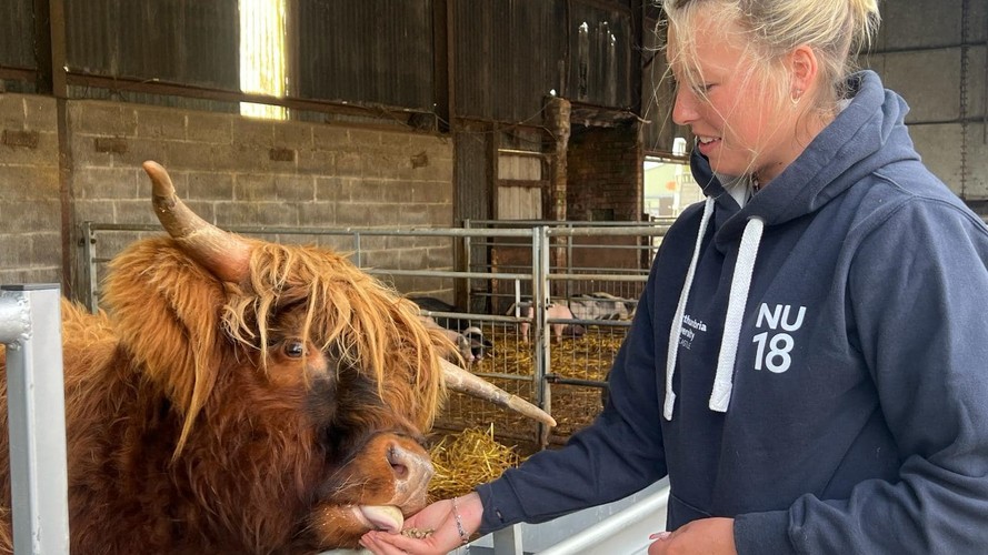 Hall Hill Farm Tickets - Things To Do in Durham