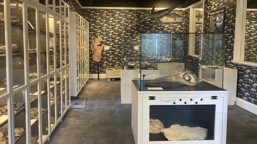 Yorkshire Natural History Museum - Sheffield Museum Tickets from £4