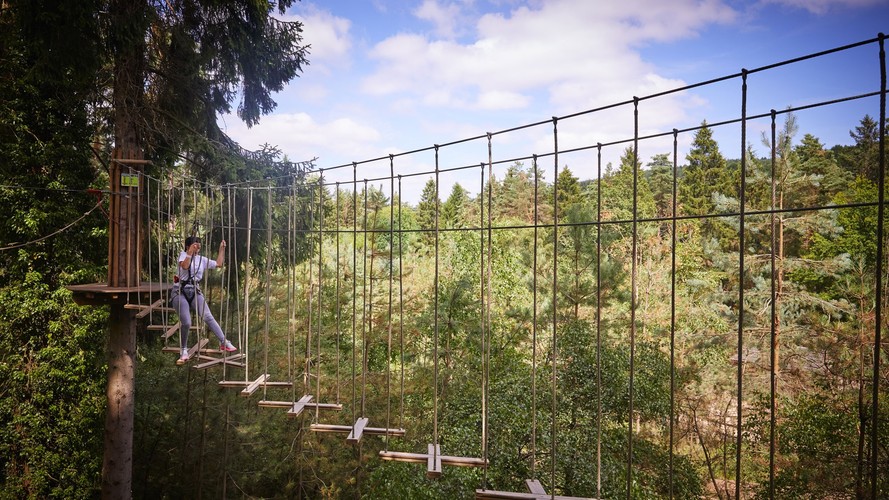 Go Ape Treetop Challenge - Go Ape Mallards Pike