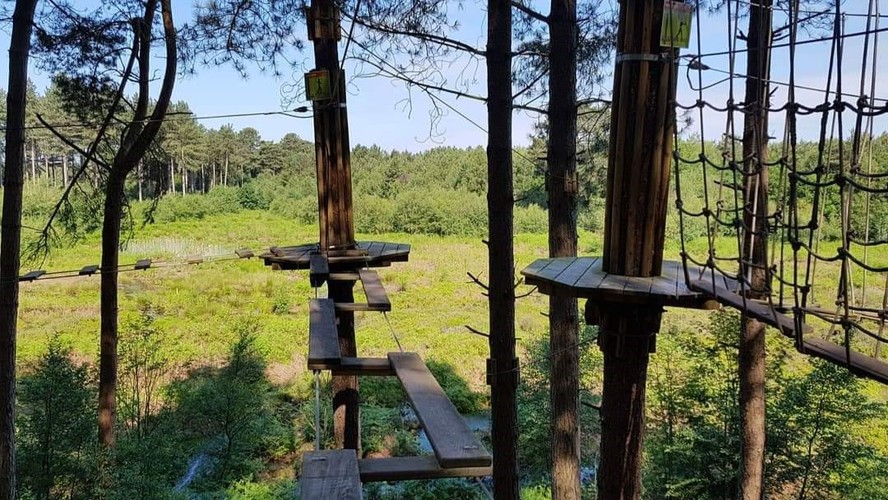 Tickets for Go Ape Treetop Adventure Activity in Bournemouth