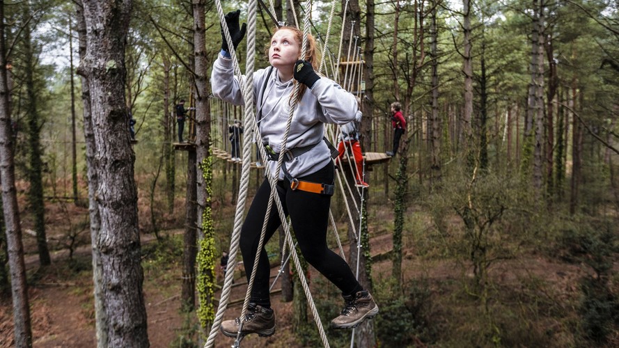 Go Ape Alice Holt Forest - Experience High Ropes Surrey