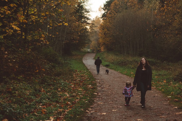 Shouldham Woods