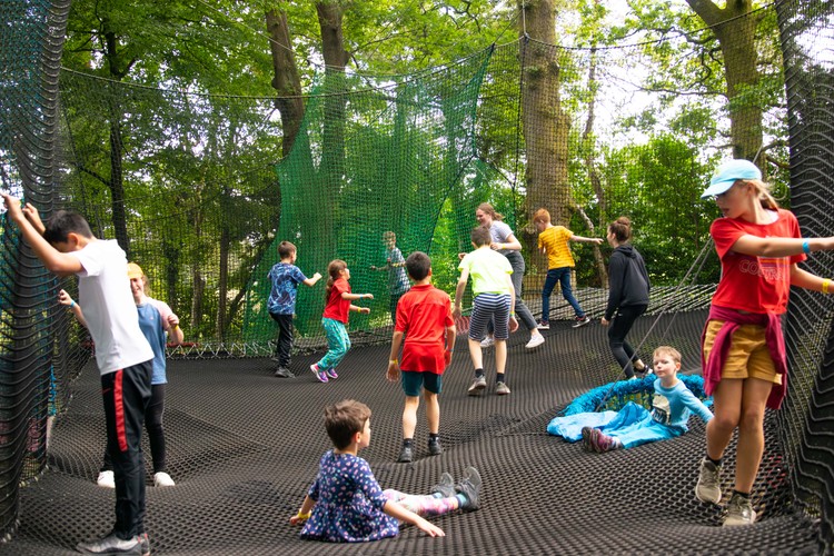 Treetop Nets Zip World Windermere - Free £5 Voucher With Booking