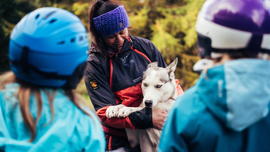 Mynydd Sleddog Adventures Tickets - Dog Mushing in Wales