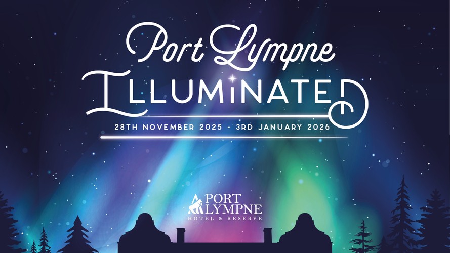 Port Lympne Illuminate Tickets - Port Lympne Light Trail