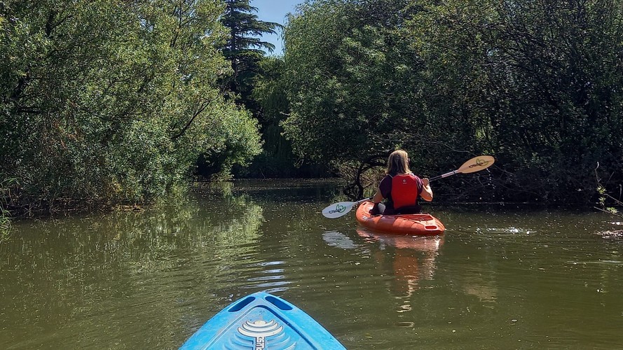 River Arun Kayaking - Fluid Adventures West Sussex Tours