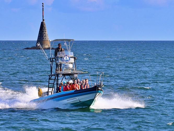 Orca Sea Safaris Tickets - Free £5 Voucher