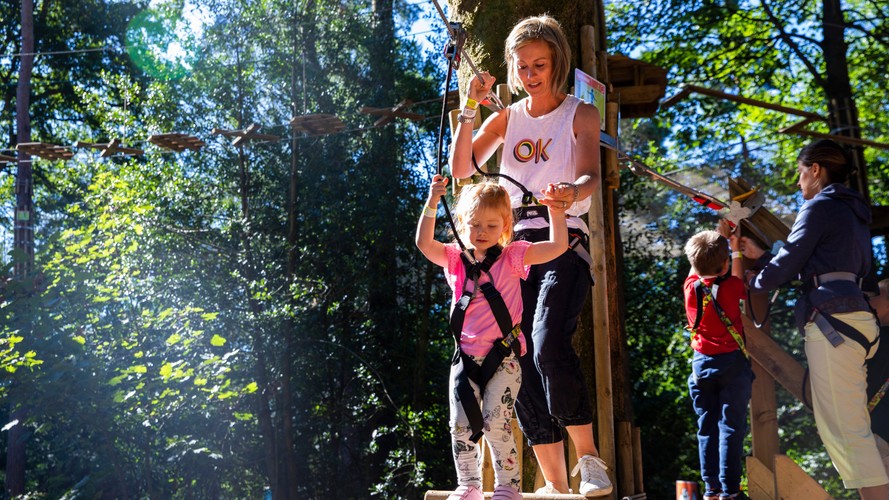 Go Ape Alice Holt Tickets - Go Ape High Ropes