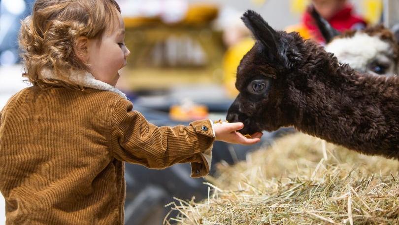 Bellevue Farm Experiences Tickets - Bellevue Farm Isle of Arran