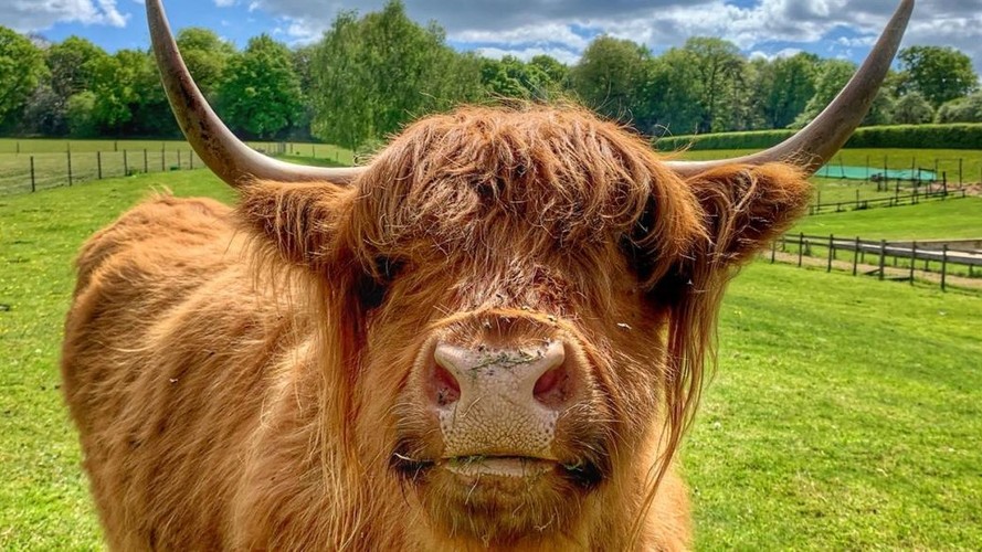 Godstone Farm Tickets - Free £5 Voucher With Purchase