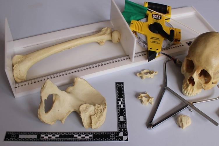 Identifying the dead - Forensic Osteology Workshop - Tickets For Sale