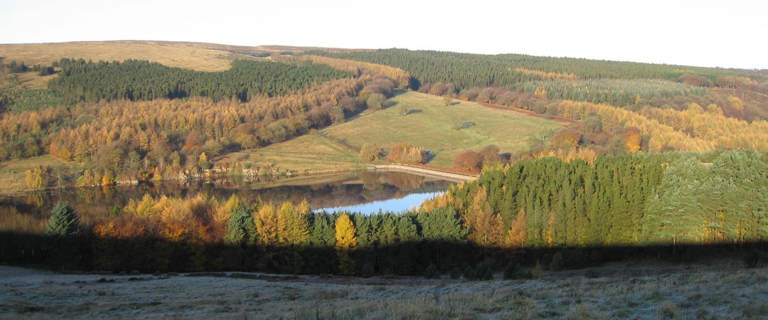 Goyt Valley - Nature Walking Tours In The UK
