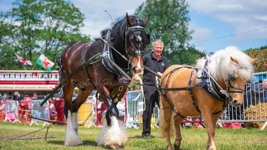 Bridgend Country Show Tickets - Get A free £5 Voucher