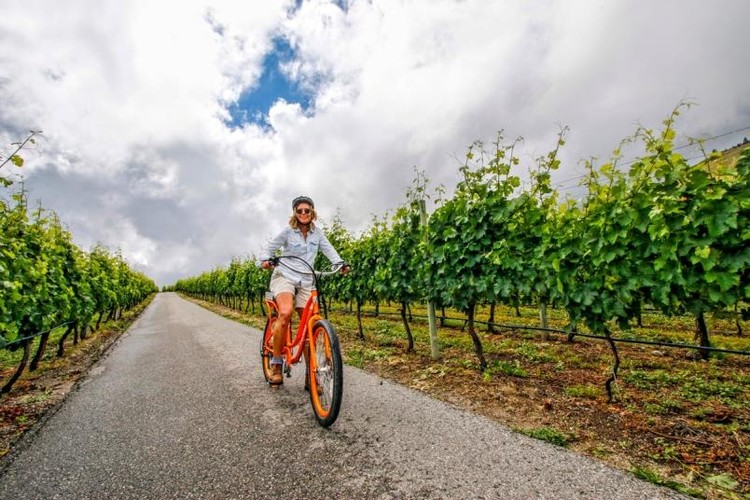 Wine Tasting Bike Tour