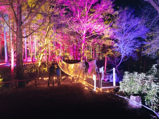 The Blue Pool Illuminate Tickets - Free £5 Voucher
