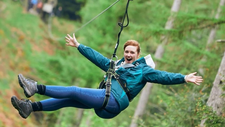 Go Ape Grizedale Forest - Go Ape Lake District