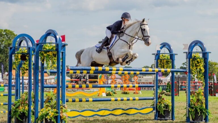 New Forest & Hampshire County Show Tickets - New Forest County Show 2026