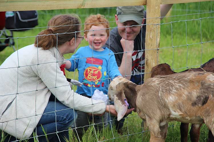 Fairytale Farm Tickets - Oxfordshire Farm Park Tickets