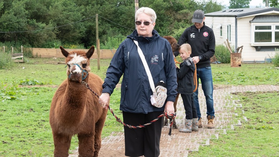 Lucky Tails Alpaca Farm Tickets - Alpaca Farm Atherstone