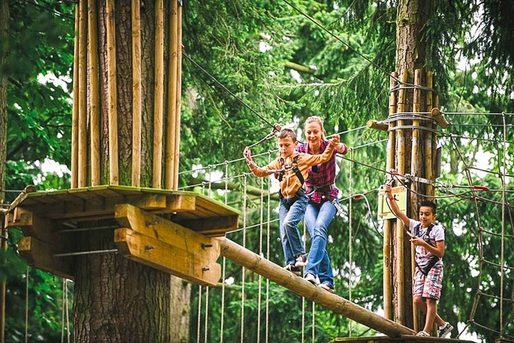 Go Ape Glentress Forest Tickets - High Ropes Course Scotland