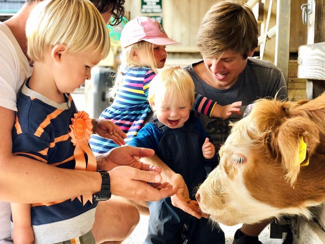 Exclusive discounts on Family Friendly Farm in Devon! - Pennywell Farm ...