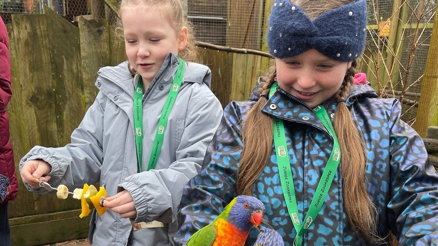 Wild Zoological Park Tickets - Wolverhampton Zoo