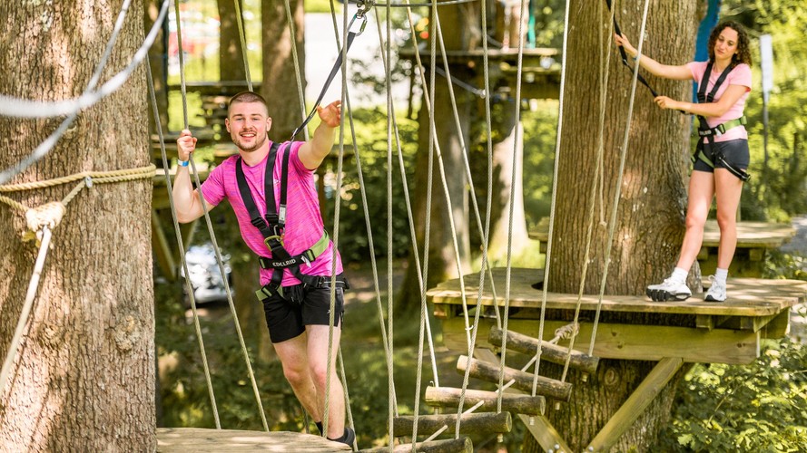 Full Treetop Trek Zip World Windermere - Free £5 Voucher With Purchase