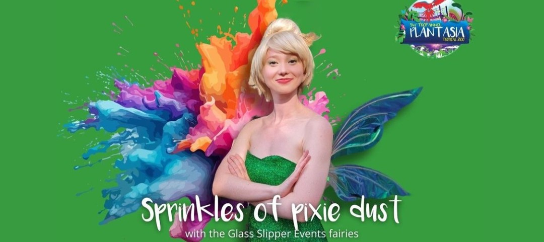 Plantasia Swansea Tickets - Pixie Dust Event