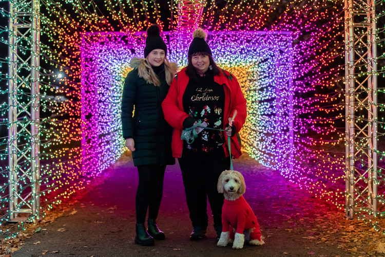 Enlightened Moments Tickets - Colchester Christmas Light Trail 2025
