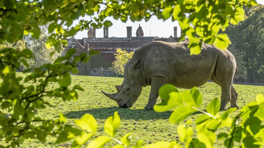 Marwell Zoo Tickets - Free £5 Voucher