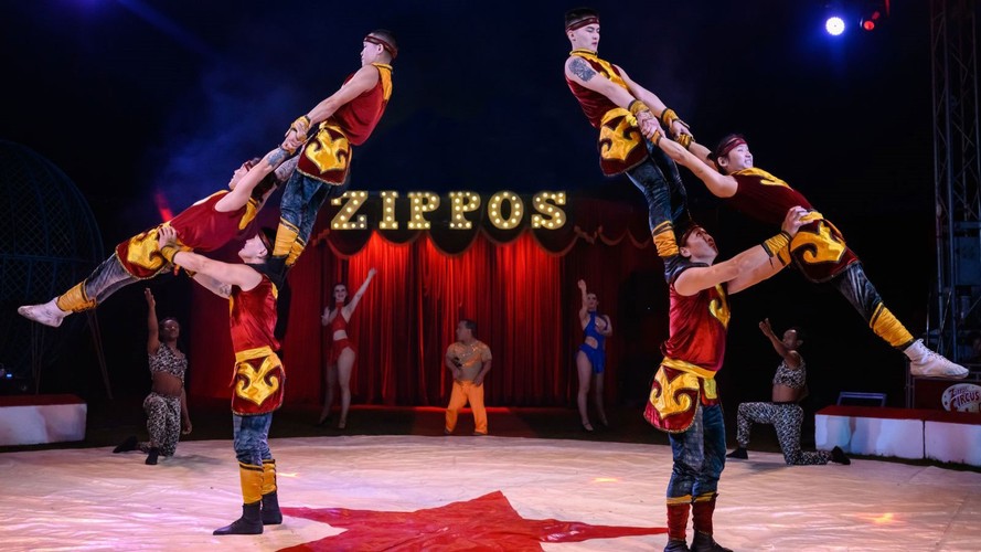 Best circus Near Guildford - Zippos Circus Tickets