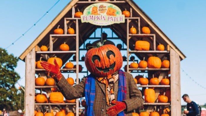Avon Valley Pumpkin Patch Tickets - Free £5 Voucher