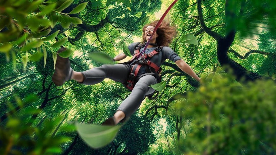 Zip World Windermere Treetop Drop - Free £5 Voucher With Purchase