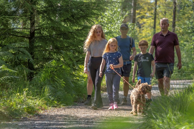 Whiteley Pastures - Free Things To do