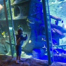 Book Tickets for Exploris Aquarium - Portaferry - You Won't Find Them ...